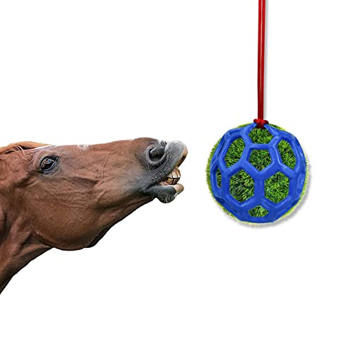 WishLotus Hay Feeder Ball, Horse Treat Ball Hanging Hay Feeder Toy to Have Fun and Relieve Stress, Horse Feed Ball to Improve Horse Digestion, Hay Ball for Horses, Sheep and Goats (Blue)