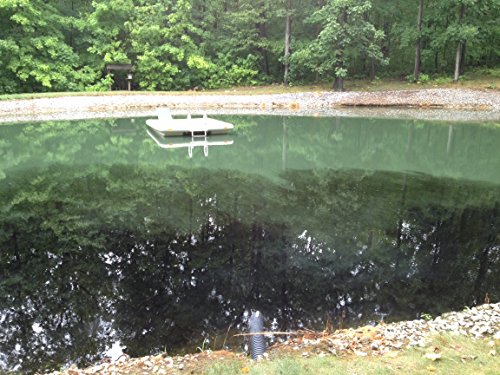 Pond Champs Black Lake & Pond Dye β One Gallon of Deep Black Pond Colorant β Treats 1 Acre β Keeps Pond Safe from UV Rays - Safe for Fish, Wildlife, Pets & Children