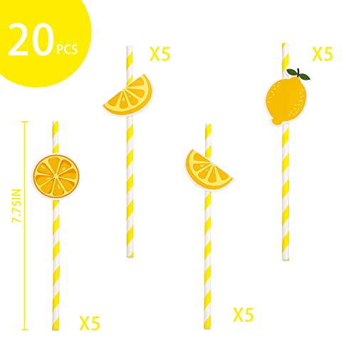 Lemon Biodegradable Paper Straws,Lemon Birthday Party Striped Decorative Straws - Set of 20.