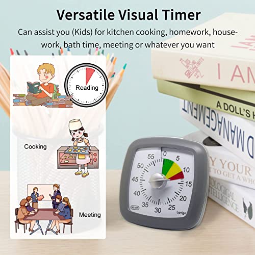 Lavigo 60 Minute Countdown Visual Timer for Adults Kitchen Cooking Kids Study Reading Classroom Teaching and Office, Three Colors Scale Designed, Quietly Count Time Management Tool(Gray)