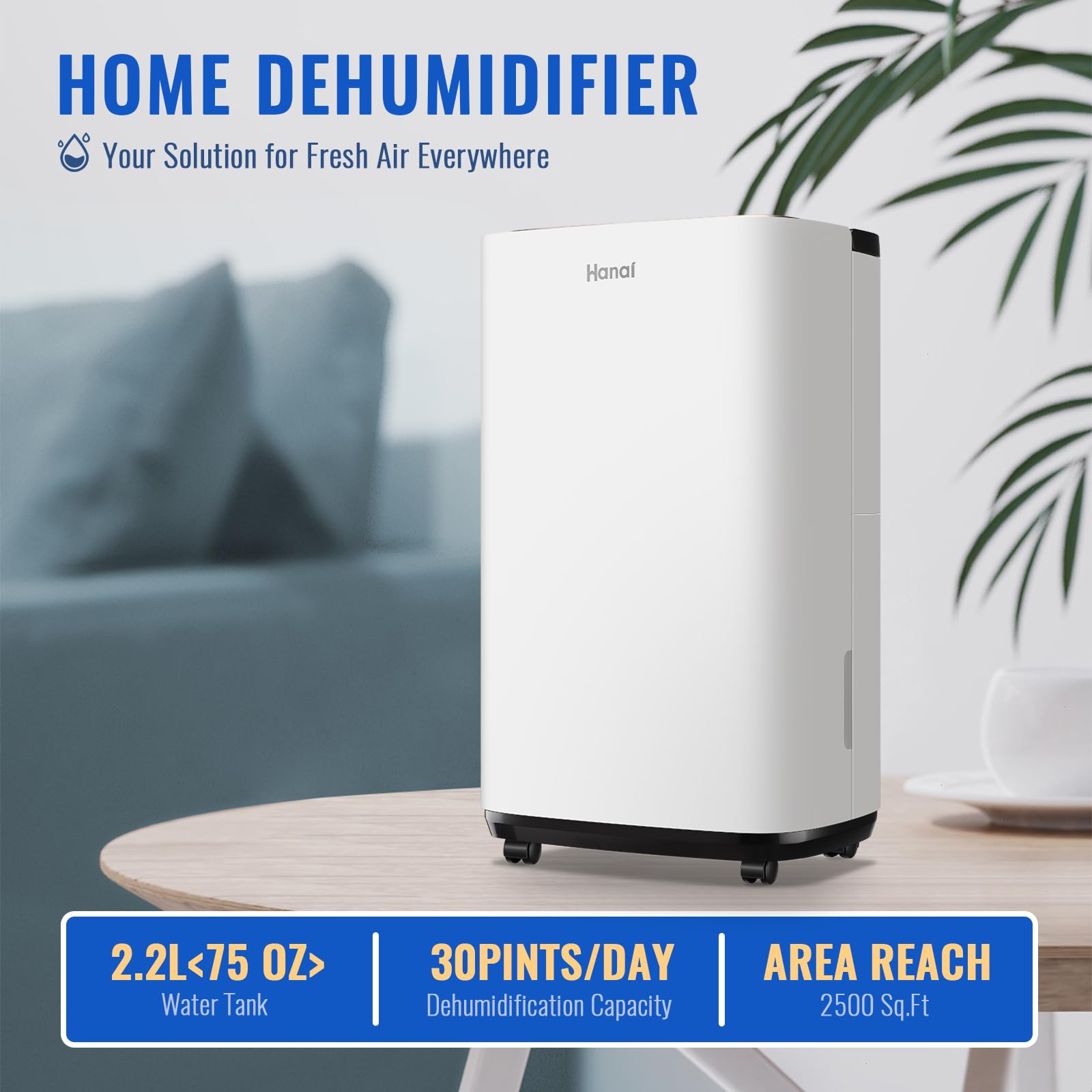 WANAI 30 Pints Dehumidifier for Basements with Drain Hose, 2500 Sq.Ft Dehumidifiers Auto Drain or Manual Drainage, Small Dehumidifier for Home Bedroom Bathroom with 2.2L Water Tank, 3 Modes, 24Timer