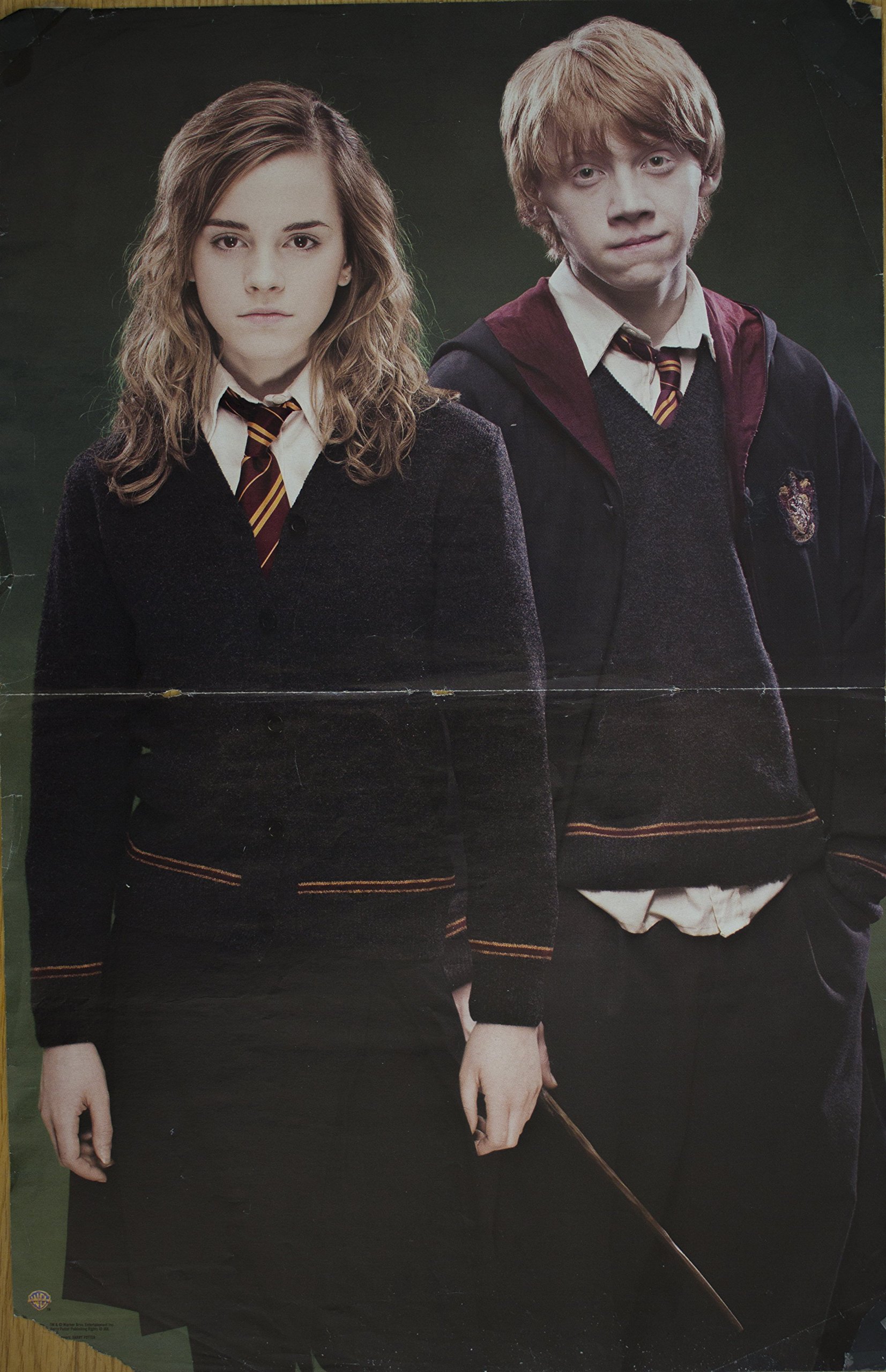 Harry Potter and The Order of The Phoenix. Sticker Album
