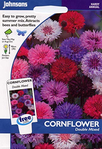 Portal Cool Johnsons Semi - Confezione pittorica - Fiore - Fiordaliso Doppia Misto - 300 Semi