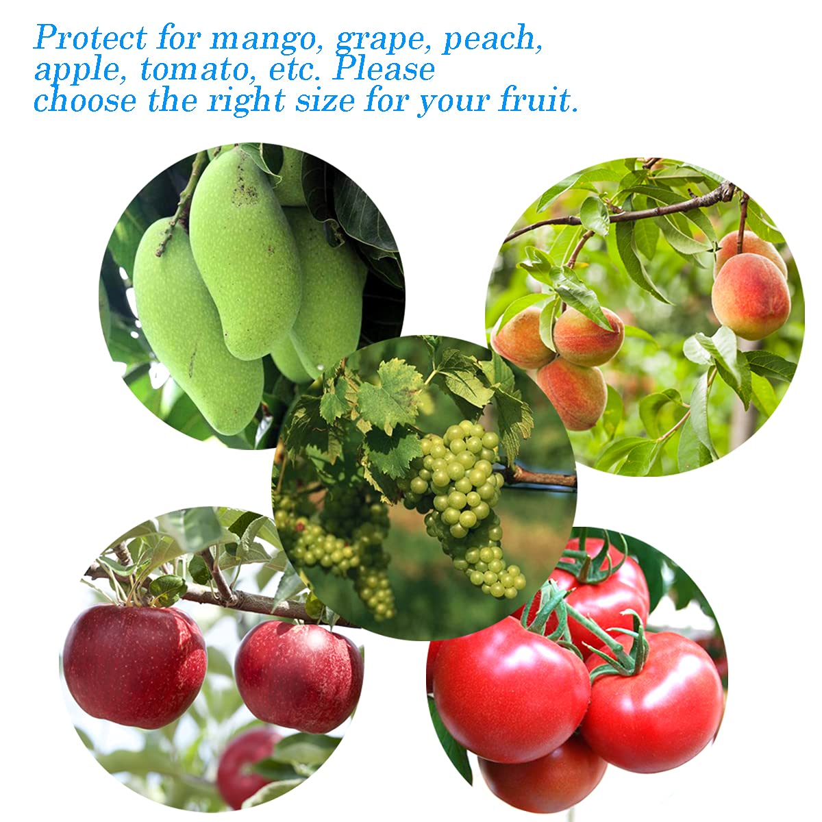 Miuezuth 50PCS Fruit Protection Bags, 5.9x3.9'' Green Netting Bags for Fruit Trees, Garden Fruit Cover Mesh Bags with Drawstring for Plant Fruit Flower and Vegetables