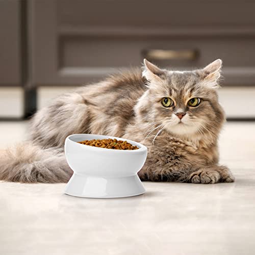 Nucookery Ceramic Cat Food Bowl Elevated,Raised Tilted Bowl Protect Pets' spines and Neck, Anti Vomiting Cat Bowl, Small Dog cat Kitten Supplies (5β, Pure White)