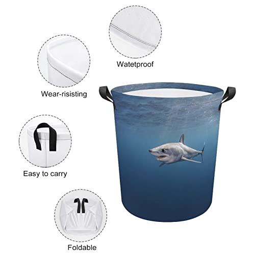 Shortfin Shark Under The Sea Large Laundry Basket Hamper Bag Washing with Handles for College Dorm Portable