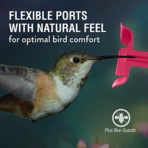 Perky-Pet 9111-1SR Cactus Top Fill Glass Hummingbird Feeder with Built-in Bee Guards & Removable Perches - 32 oz Outdoor Garden Décor Hummingbird Feeder
