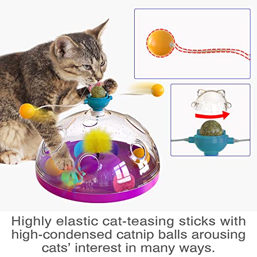 TACKDG Cats Treasure Chest Cat Toy Kitty Toys Kitten Track Ball Teaser Catnip Balls with Feather Interactive Indoor Pets Supplies Supply Funny Gift A