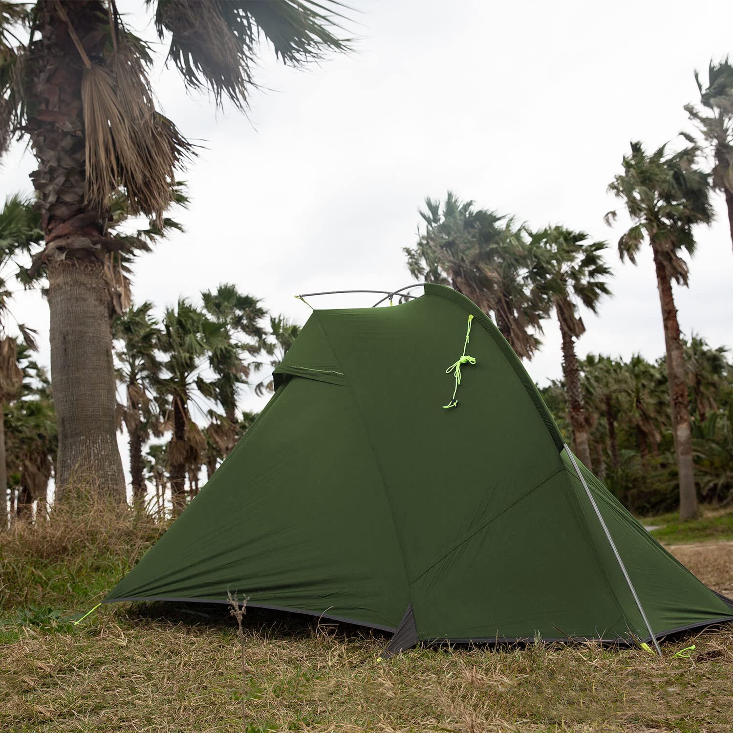 Naturehike Taga 2 Person Lightweight Backpacking Tent Outdoor Camping Tent (Forest Green)