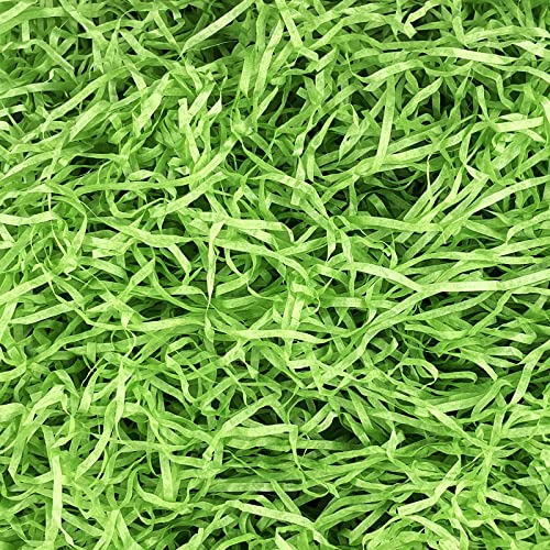 QLINLEAF 1LB Easter Green Grass Basket Filler Recyclable Paper Green Raffia Grass Recyclable Shred Paper Paper Filler for Easter Party Gift Basket Filler