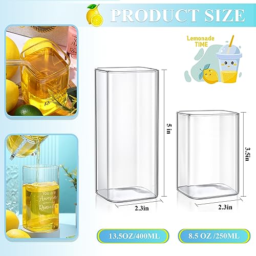 Roshtia 12 Pcs Square Glass Cups with Straws Highball Drinking Glasses Clear Rocks Glasses for Tea Wine Beer Cocktails Juice Coffee Mixed Drinks Party Glassware Set, 8.5oz and 13.5oz (Minimalist)
