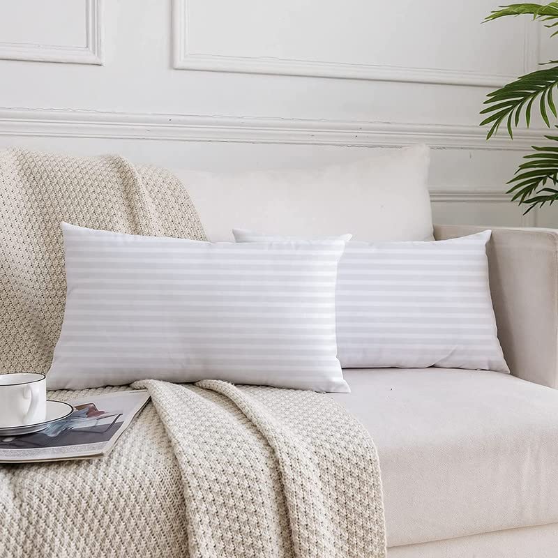 Trendy Home 12x20 Throw Pillow Insert with Extra Removable Satin Pillow Case, Cushion Sham Stuffer Lumbar Support Decorative Home Outdoor Pillow Filler (AquaBlue)