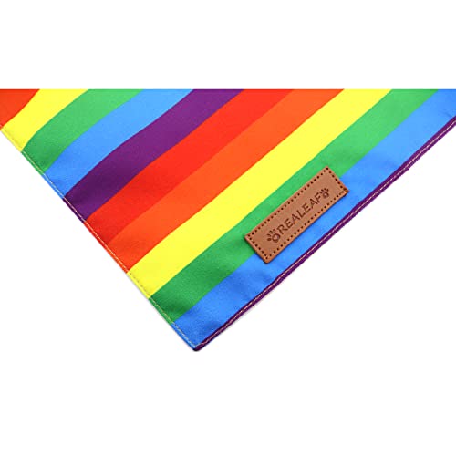 Realeaf Pride Dog Bandanas 2 Pack, LGBT LGBT+ Rainbow Scarves Bibs for Dogs, Premium Durable Fabric, Triangle Reversible Bandana for Small Medium Large and Extra Large Dogs Pets (Pride Day, X-Large)