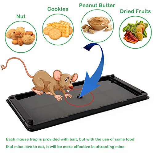 Mouse Trap, Glue Traps for Mice and Rats, Rat Traps Indoor,Heavy Duty Sticky Trap Mouse Insects Bed Bugs Spiders Cockroaches 10 Pack Large Size 10"×5"