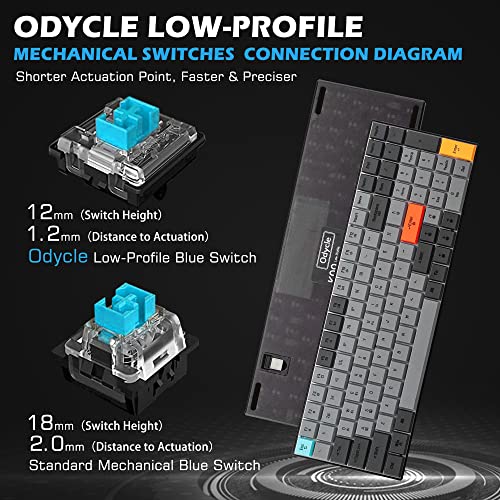 Odycle Low Profile Mechanical Keyboard, 99 Keys Triple-Mode 2.4G/USB-C/Bluetooth Wireless Mechanical Keyboard with RGB Backlit, Compatible with Windows and Mac OS Systems, Blue Switch,Black
