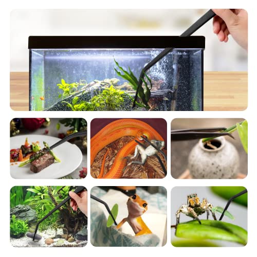 Simple Deluxe Reptile Feeding Tongs 15ββ Curved Aquarium Long Tweezers, Anti-Rust Thickened Stainless-Steel Forceps, for Terrarium, Fish Tank, Snakes/Lizards/Gecko, Planting