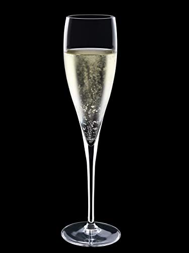 Luigi Bormioli Styles 6 oz Sparkling Wine Glasses (Set Of 2), Clear