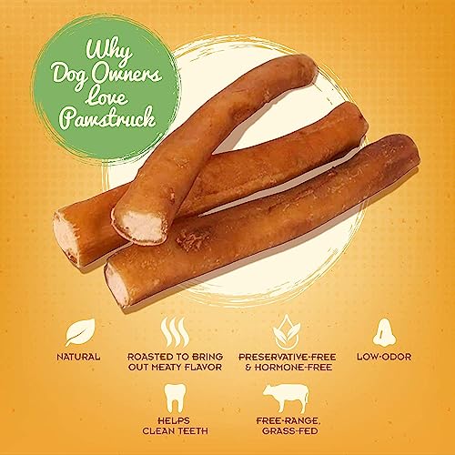 Pawstruck All-Natural 3-5" Bully Sticks for Small Dogs & Puppies β Single Ingredient, Low Odor & Rawhide-Free Dental Chew Treat Bones - 100% Real Beef with No Artificial Preservatives - 8 oz Bag