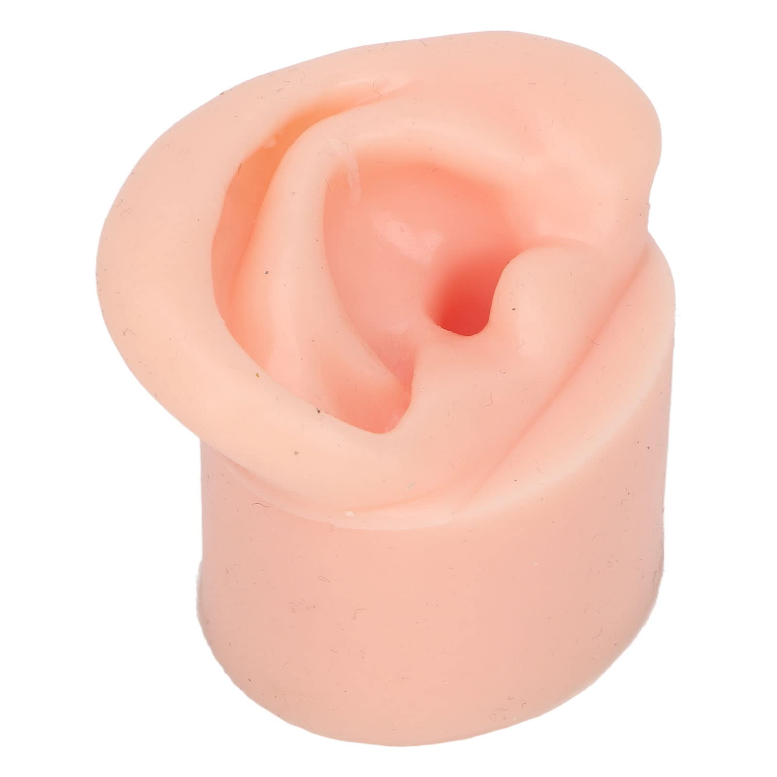Piercing Ear Model Training Accessory Silicone Ear Model Soft Light Skin Color Reusable Long Ear Canal For Teacher For School (Right)