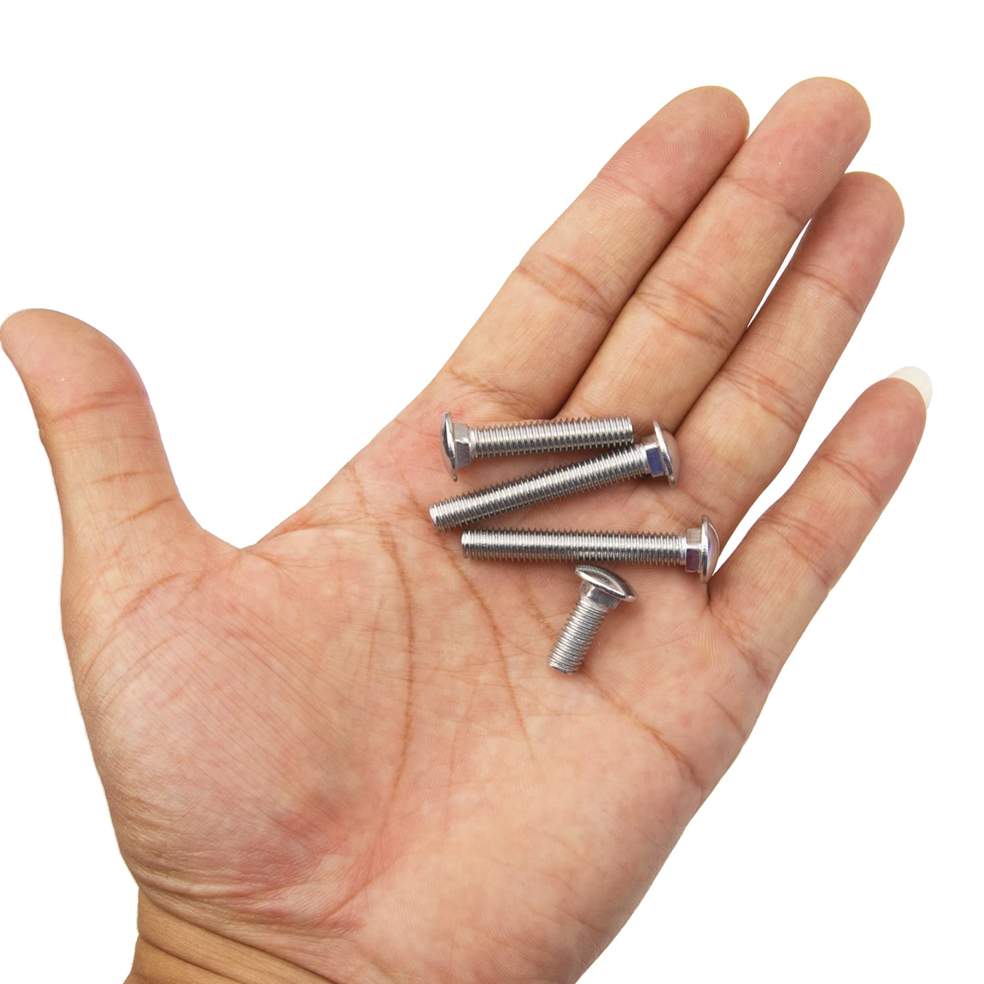 Rrina 38Pcs 304 Stainless Steel Carriage Bolts Round Head Square Neck Screws Coach Bolt Assortment Kit, 5 Sizes M6x16/30/40/50
