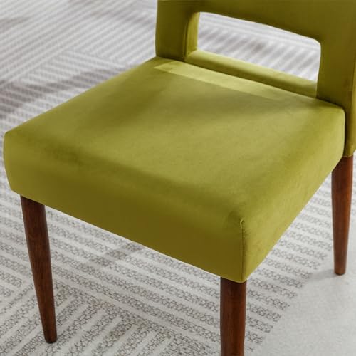Haplized Accent Chairs Set of 2, Velvet Chairs with Solid Woood,Upholstered Dining Chairs for Living Room, Kitchen, Bedroom, Beauty Room,Dining room (Green, Set of 2)
