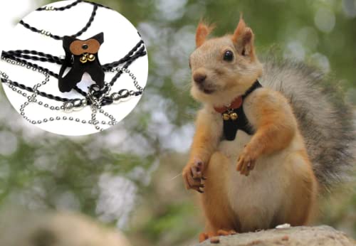 Squirrel Traction Rope Strap Anti-Biting Chain Rope, Adjustable Vest, Small Animal Walking Harness with Lead Leash with Free Collar for Hamster Gerbil Rat Mouse Ferret Chinchilla (Black with Blue)