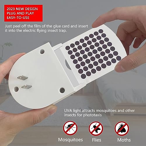 Qremove Flying Insect Trap Plug-in Fly Trap Indoor Gnat Moth Catcher Fly Tapper with Night Light Sticky Trap Boards UV Attractant Catcher for Home Office(3Packs)