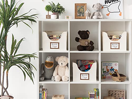 StorageWorks Pantry Storage Bins & StorageWorks Closet Storage Bins