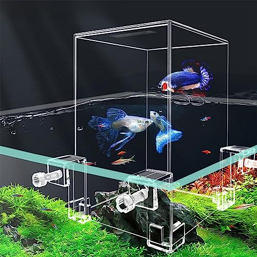 TREELF Complete Set of Negative Pressure Fish Tank Floating Betta Fish Tank Mini Suspended Fish Bowl Ecological Aquarium with Landscaping and Decoration for Small Space Living Room or Desktop