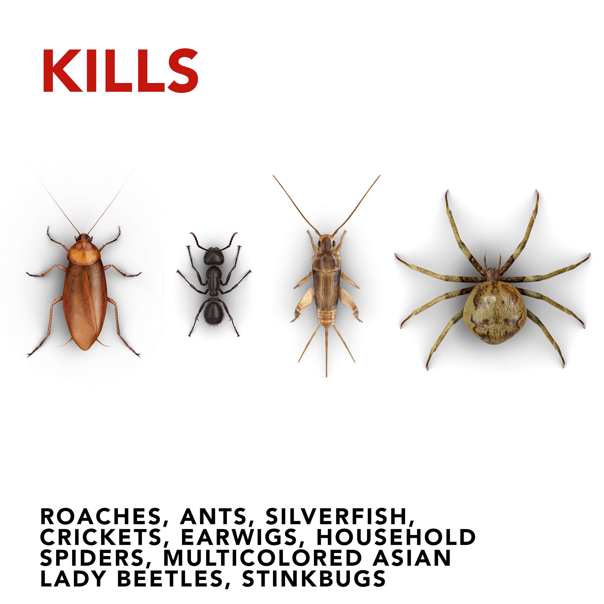 Raid Ant & Roach Spray Defense System, Lemon Scent, Attacks Bugs & Kills on Contact for up to 4 Weeks, No Lingering Chemical Odor, 17.5-Ounce (Pack of 5)