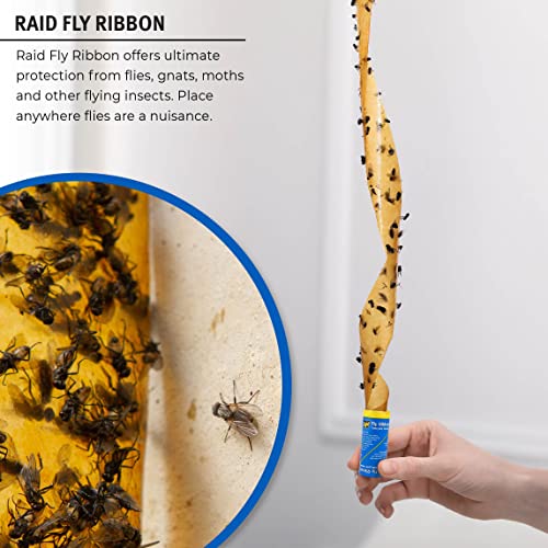 RaidĀ® Fly Ribbon, Fly Traps for Indoors and Outdoors, 4 Pack