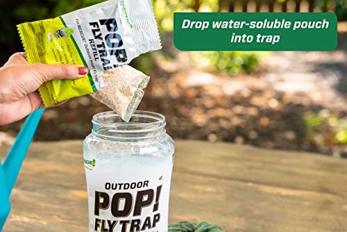 RESCUE! POP! Fly Trap – Large Reusable Fly Trap for Outdoor Use