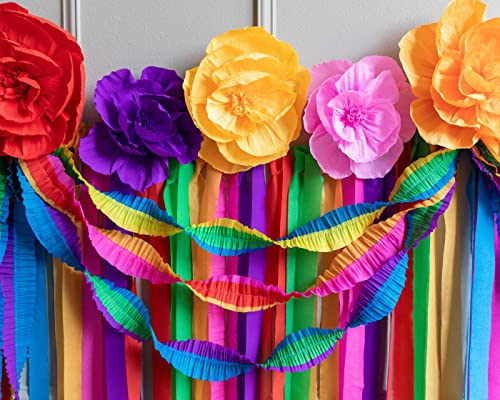 Riles & Bash Fiesta Streamer Backdrop with Crepe Paper Flowers and Ruffled Streamers (Fiesta)