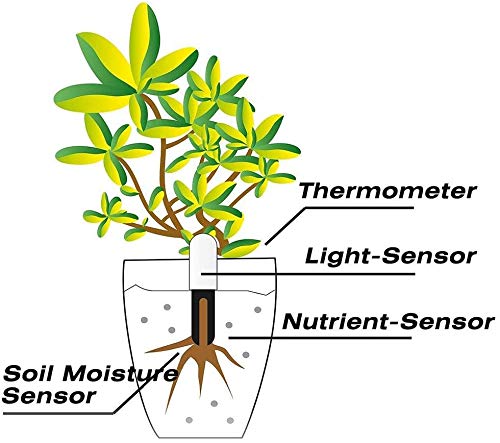 WANFEI Plant Monitor Soil Test Kit,Flower Care Soil Tester Smart Plant Tracker Intelligent Sensor Plants Detector Bluetooth Monitor for Light Moisture Fertility Temperature Level for iOS and Android
