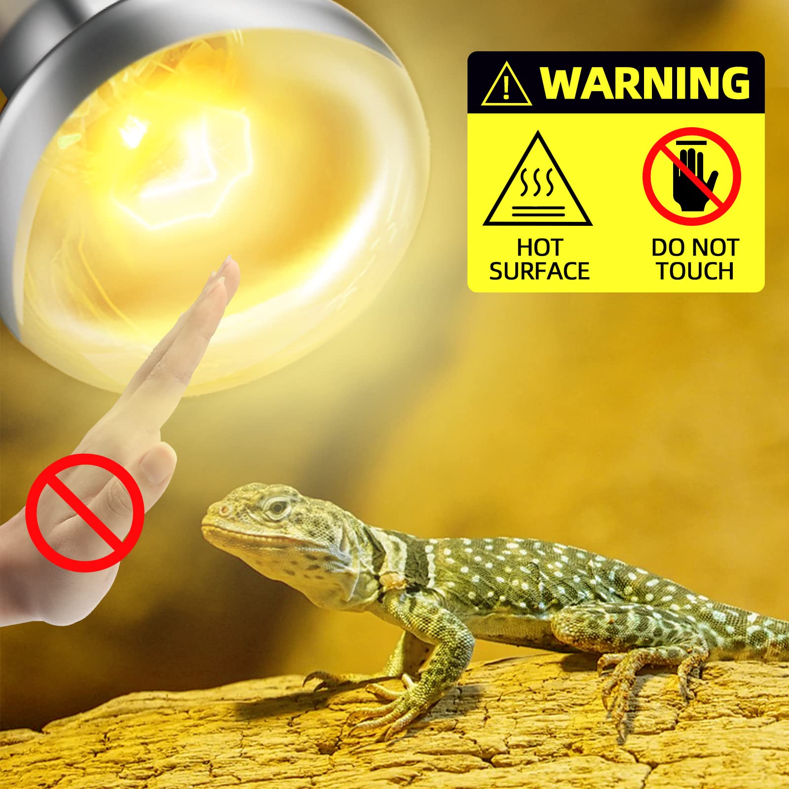 HETOO (Red/White Random Color Heat Lamp, Reptile Heat Lamp Bulbs, Full Spectrum Basking Spot Heat Light Bulbs for Reptiles & Amphibians Bearded Dragon Turtle Lizard Tank Accessories, E26 Base, 50W