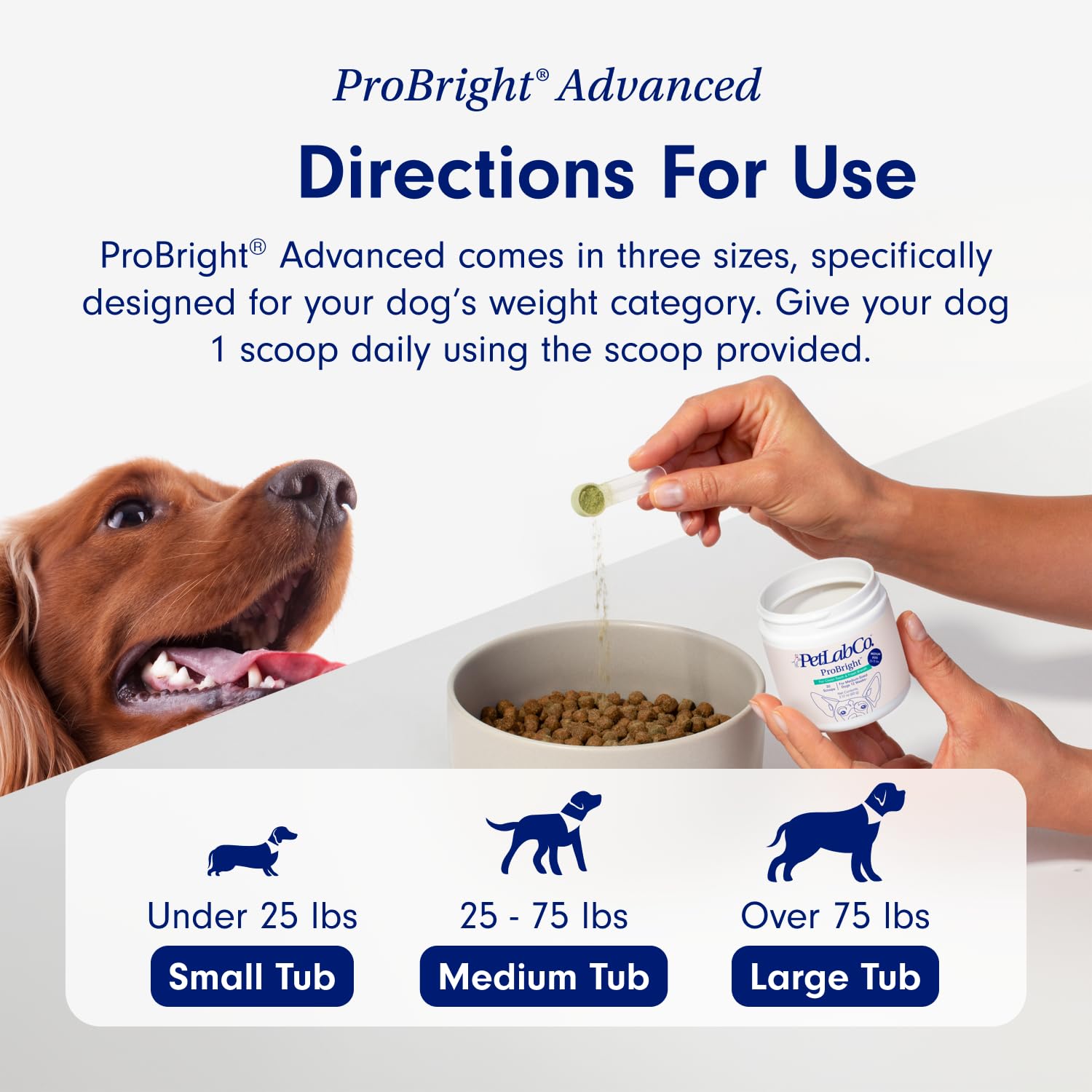 PetLab Co. β Gut & Breath Bundle: Dental Powder for Fresh Breath in 1 Scoop. for Small Dogs & Salmon Dog Probiotics to Support a Healthy Gut - Easy to Use β Innovative Formulas