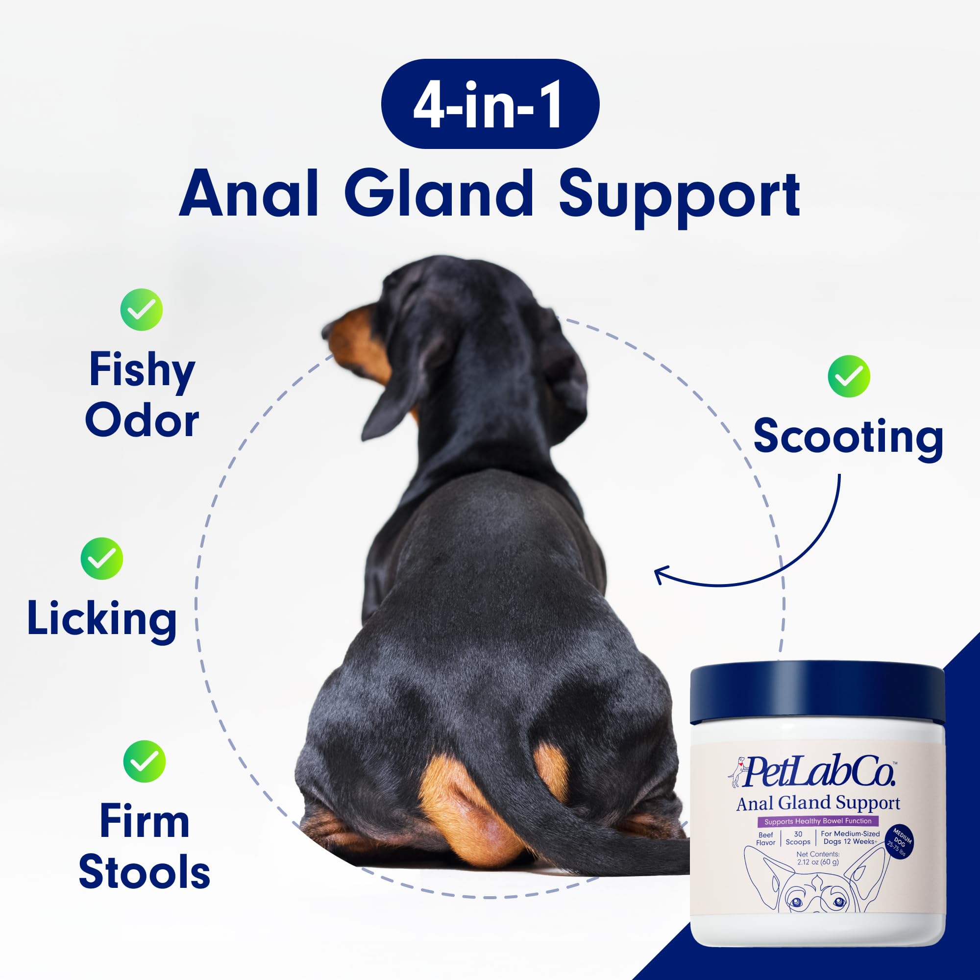 PetLab Co. Anal Gland Support Tailored Powder β Supports Anal Gland Health and Optimizes Stool Consistency - Easy to Use - Helps Target Scooting & Fishy Rears β for Medium Dogs