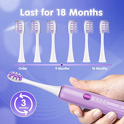 SARMOCARE Sonic Electric Toothbrush with 6 Replacement Heads and Premium Travel Case, 4 Modes, Rechargeable Power Toothbrush, Purple M300