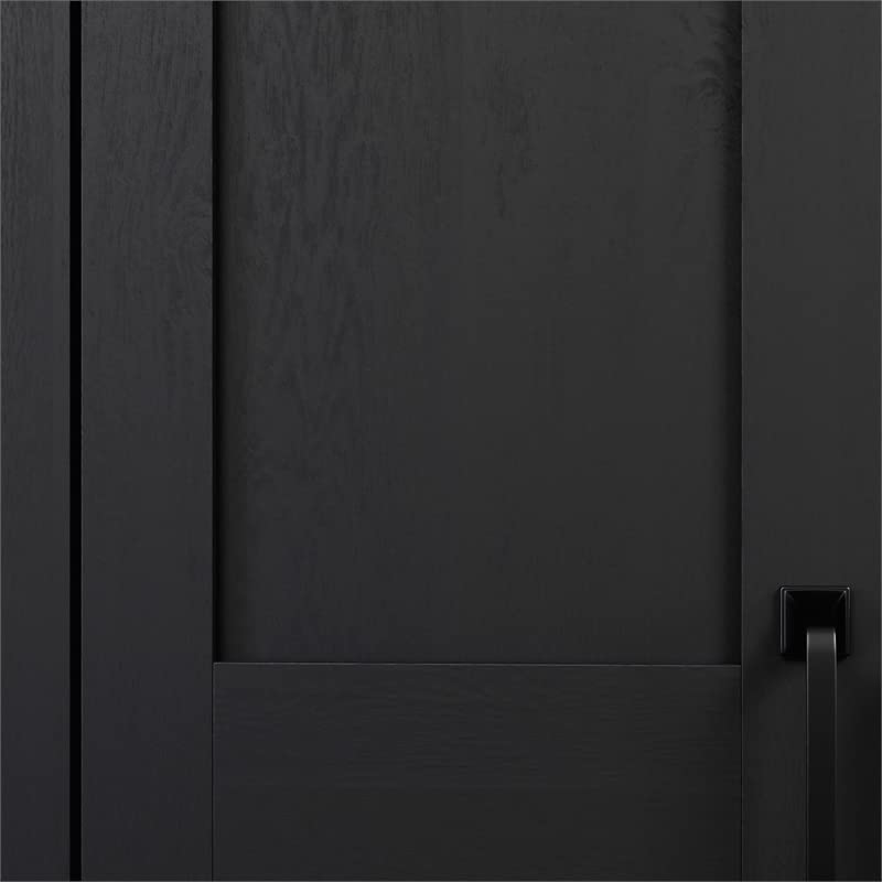 Sauder Engineered Wood 2-Door Storage Cabinet in Raven Oak Finish