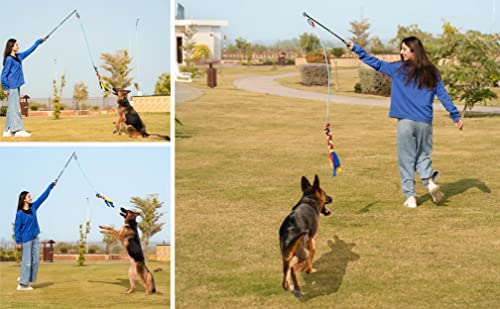 SMATICA Flirt Pole for Dogs - Interactive Dog Toys for Boredom & Stimulating β Lightweight & Sturdy Puppy Toys β Flirt Pole for Dogs Heavy Duty for Dog Training & Exercise (Not for Aggressive Chewers)
