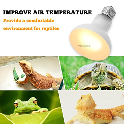 TEKIZOO Reptile Heat Lamp UVA Basking Daylight Spot Bulb for Amphibian,Lizard,Tortoise,Bearded Dragon 50W(3 Pack)