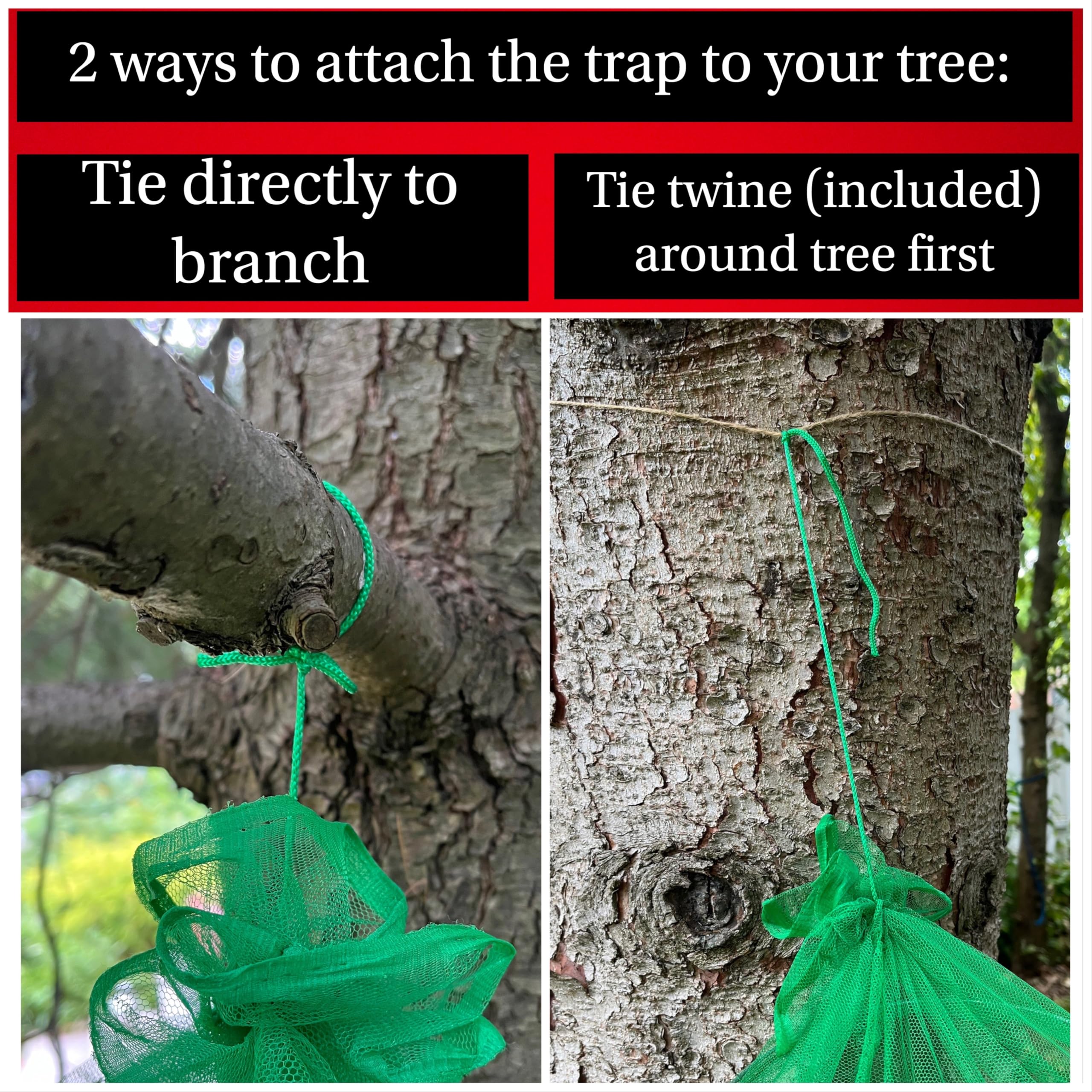 Spotted Lanternfly Mesh House Trap SLF. Simple and Effective Way to Catch Lantern Flies and Nymphs., Green