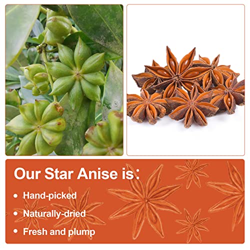 Sun I’farm Organic Star Anise, Chinese Star Anise Whole 3oz(85g), Fresh, Pure and Dried Anise Pods, Great for Cooking, Baking and Tea (3 ounce)