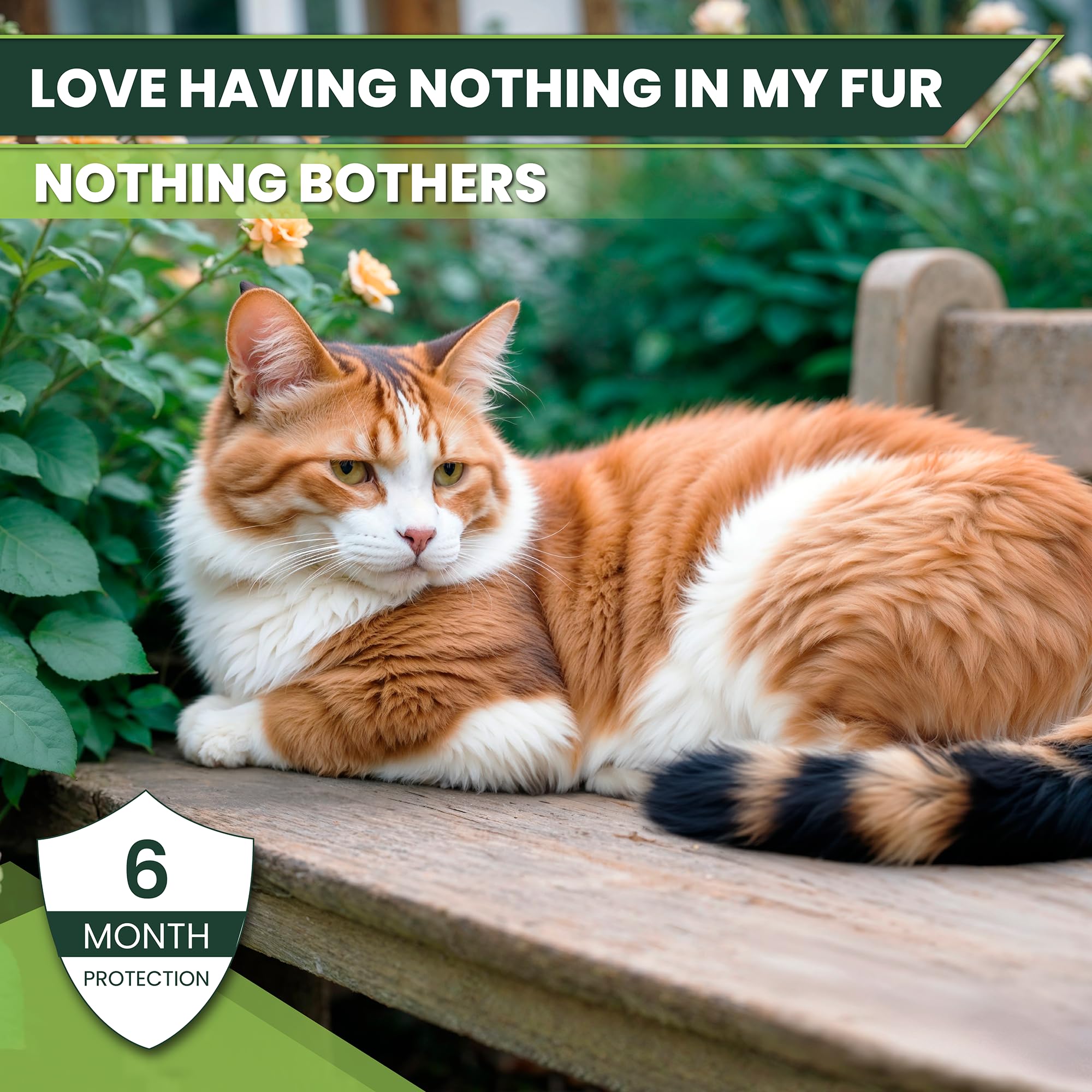 TRIOAK Cat Flea Treatment & Prevention, Flea Prevention for Cats, 6-Month Supply
