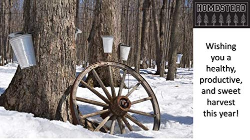 Maple Syrup Hydrometer - Measure Sugar and Moisture Content (Density) of Boiled Sap - Baume and Brix Scale - Calibrated to Create Pure Maple Syrup