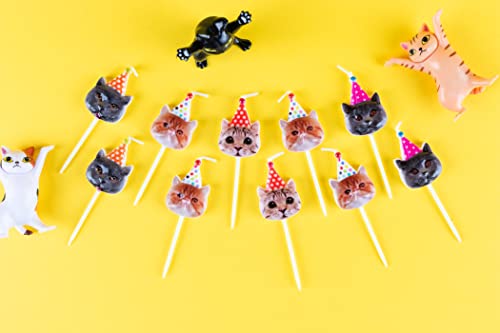Merrymelting Merry Melting Birthday Candle for Cake Topper (cat Birthday Candle)