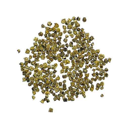 Seed Needs, Golden Detroit Beet Seeds - 250 Heirloom Seeds for Planting Beta vulgaris - Non-GMO & Untreated (1 Pack)