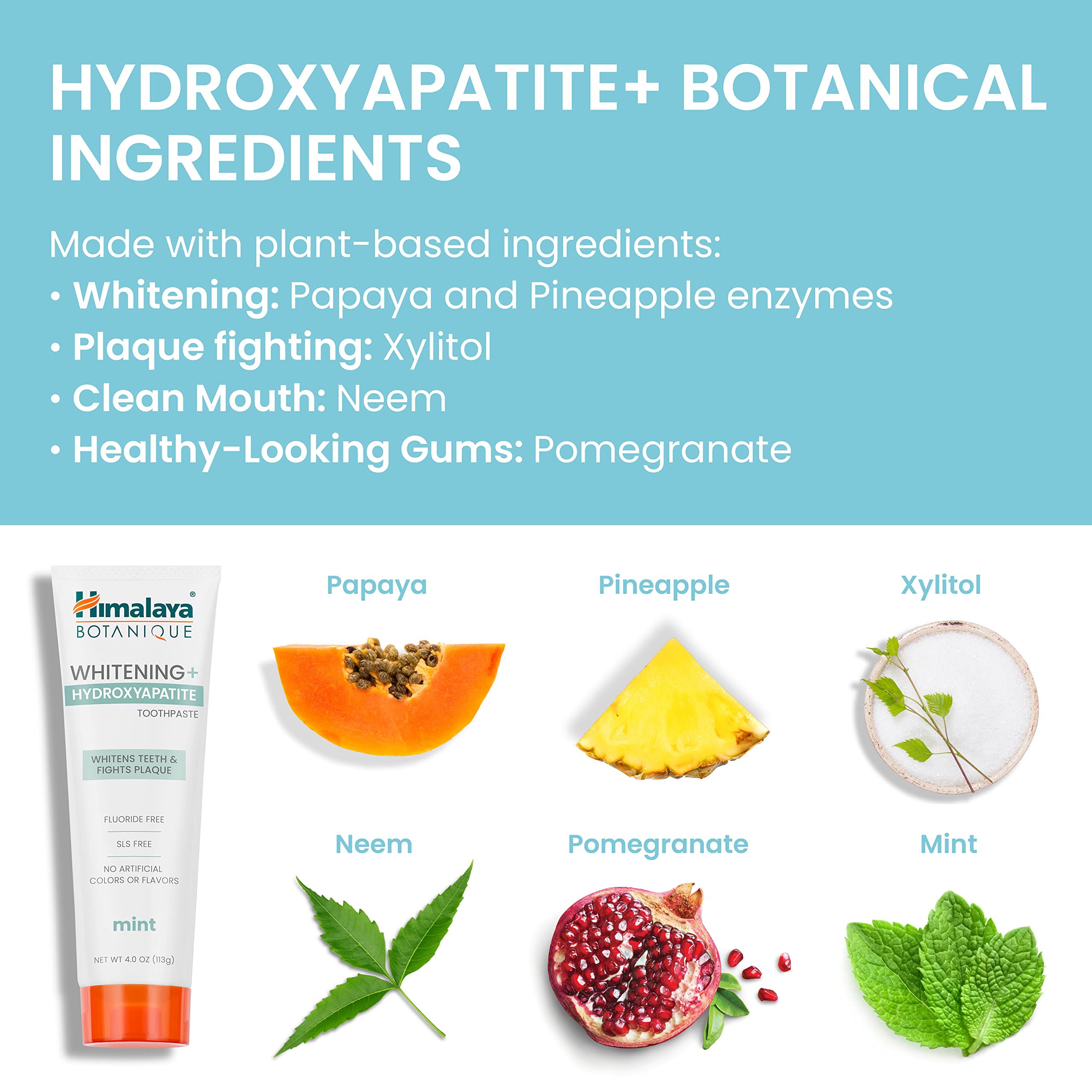 Himalaya Botanique Whitening + Hydroxyapatite Toothpaste for Whiter Teeth & Fresher Breath with Hydroxyapatite Support & Mint Flavor, Fluoride Free, SLS Free, & Vegan, 4.0 oz (113g)