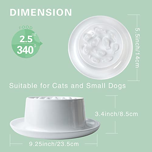Raised Slow Feeder Cat Bowl, Fish Pool Design Elevated Slow Feeder Dog Bowls, Fun Interactive Bloat Stop Cat Slow Feeder Dry Food, Reduces Neck Burden Slow Down Eating Anti Vomiting Non-Slip No Spill