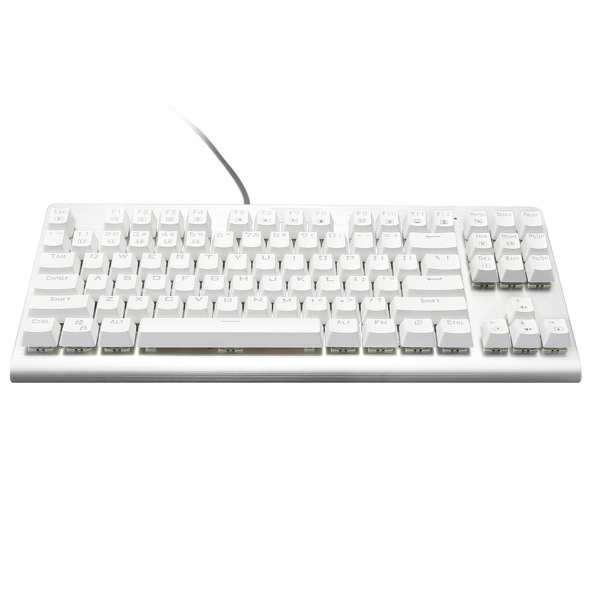 HUO JI RGB Mechanical Gaming Keyboard, Z-77 Programable RGB Backlit, Blue Switches, 87 Keys Anti-Ghosting for Mac, PC, White